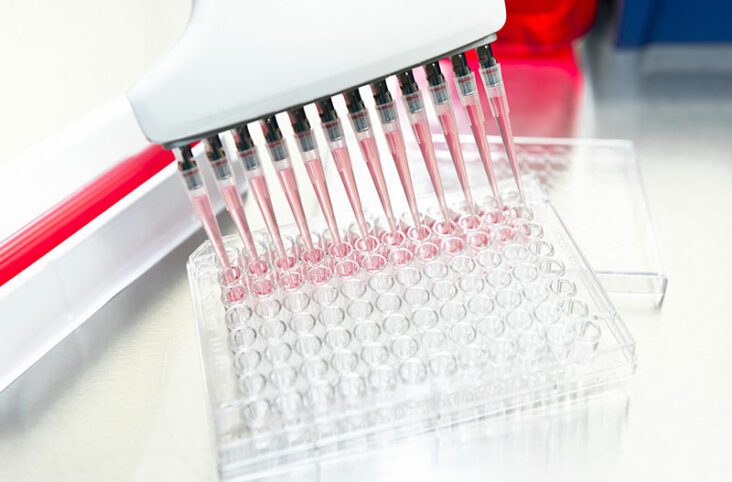 Immunogenicity Services: Comprehensive Testing & Analysis